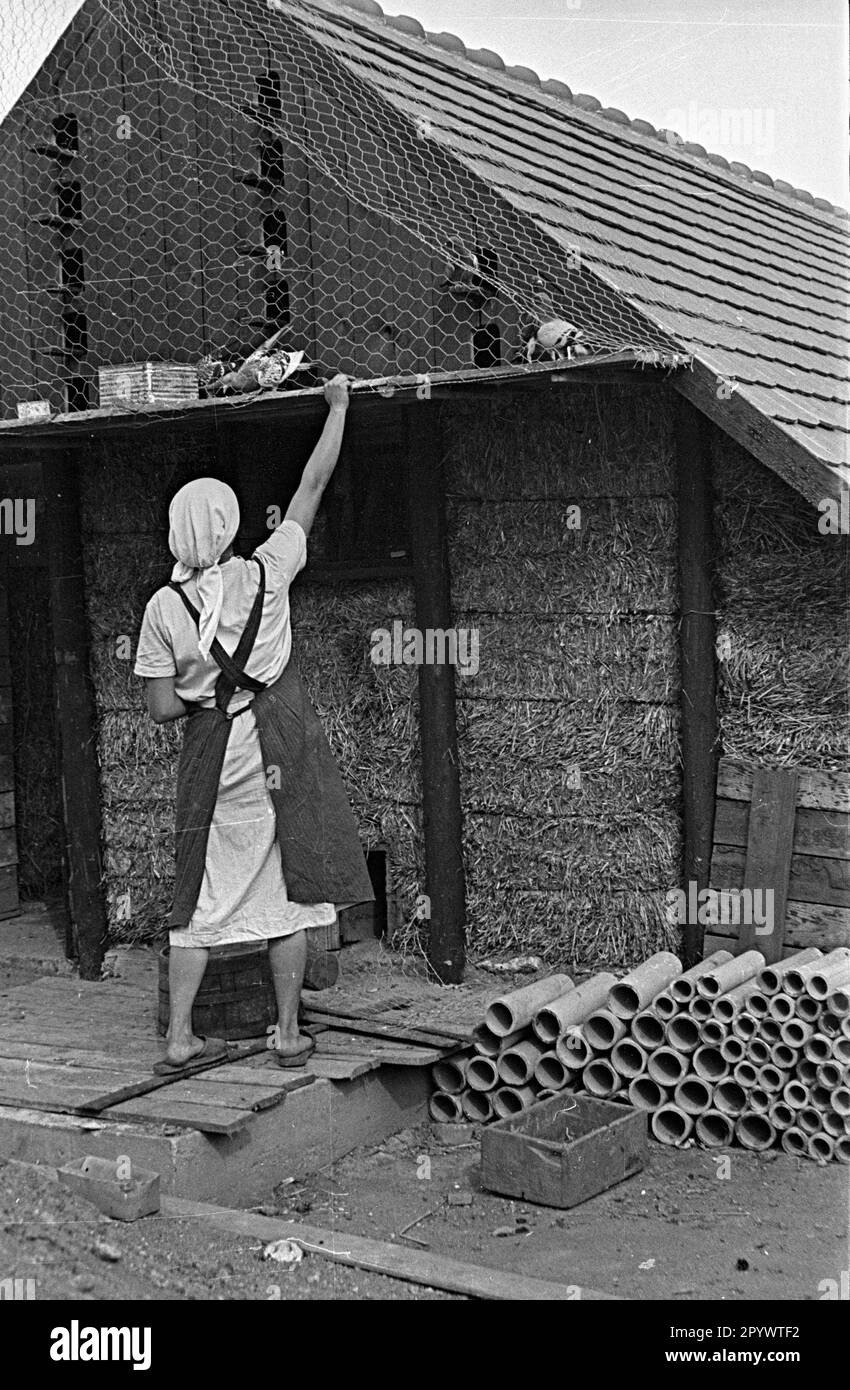 A woman at a barn for storing straw on her farm in the newly built ...