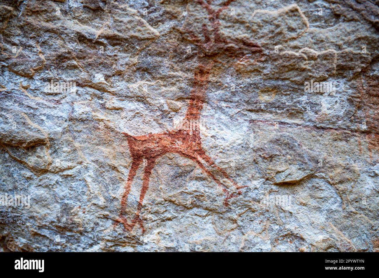 Rock art painting at Pedra Furada, Unesco site Serra da Capivara ...