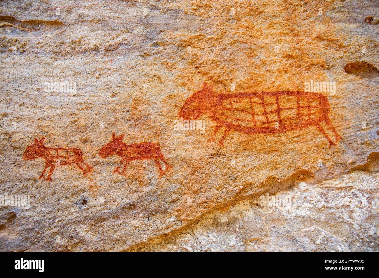 Rock art painting at Pedra Furada, Unesco site Serra da Capivara ...