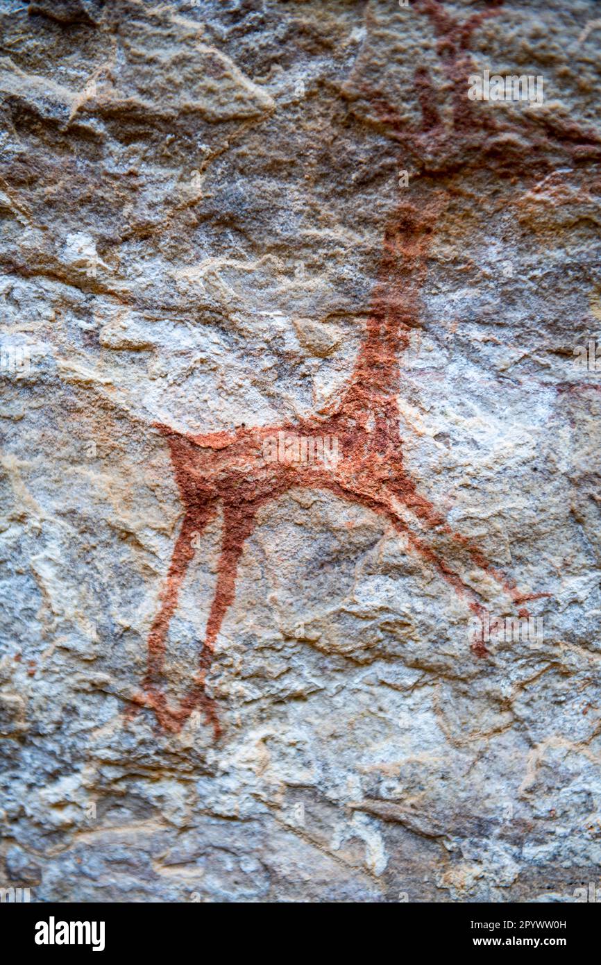 Rock art painting at Pedra Furada, Unesco site Serra da Capivara ...