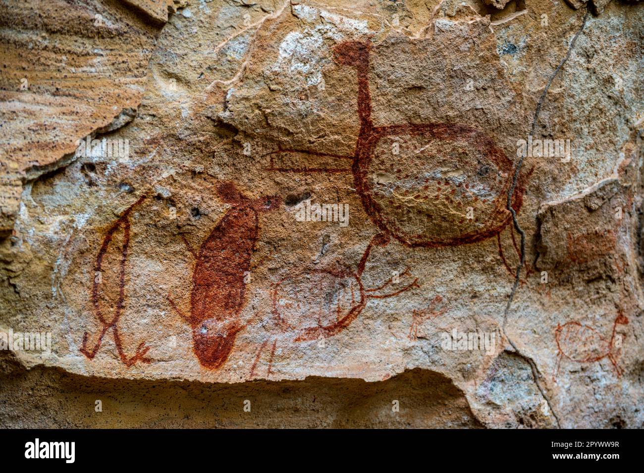 Rock art painting at Pedra Furada, Unesco site Serra da Capivara ...