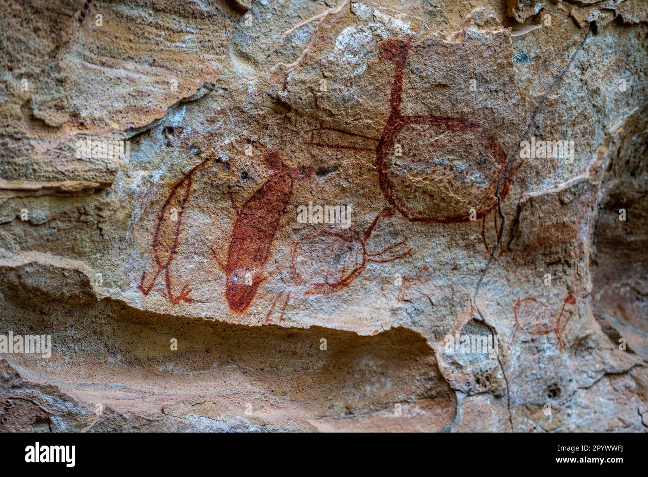 Rock art painting at Pedra Furada, Unesco site Serra da Capivara ...