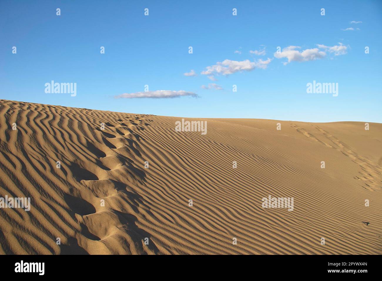 Footprints, dune, grooves in the sand, detail, blue sky, white clouds ...