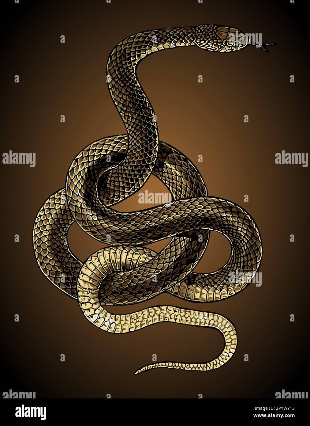 venomous snake vector template Stock Vector Image & Art - Alamy