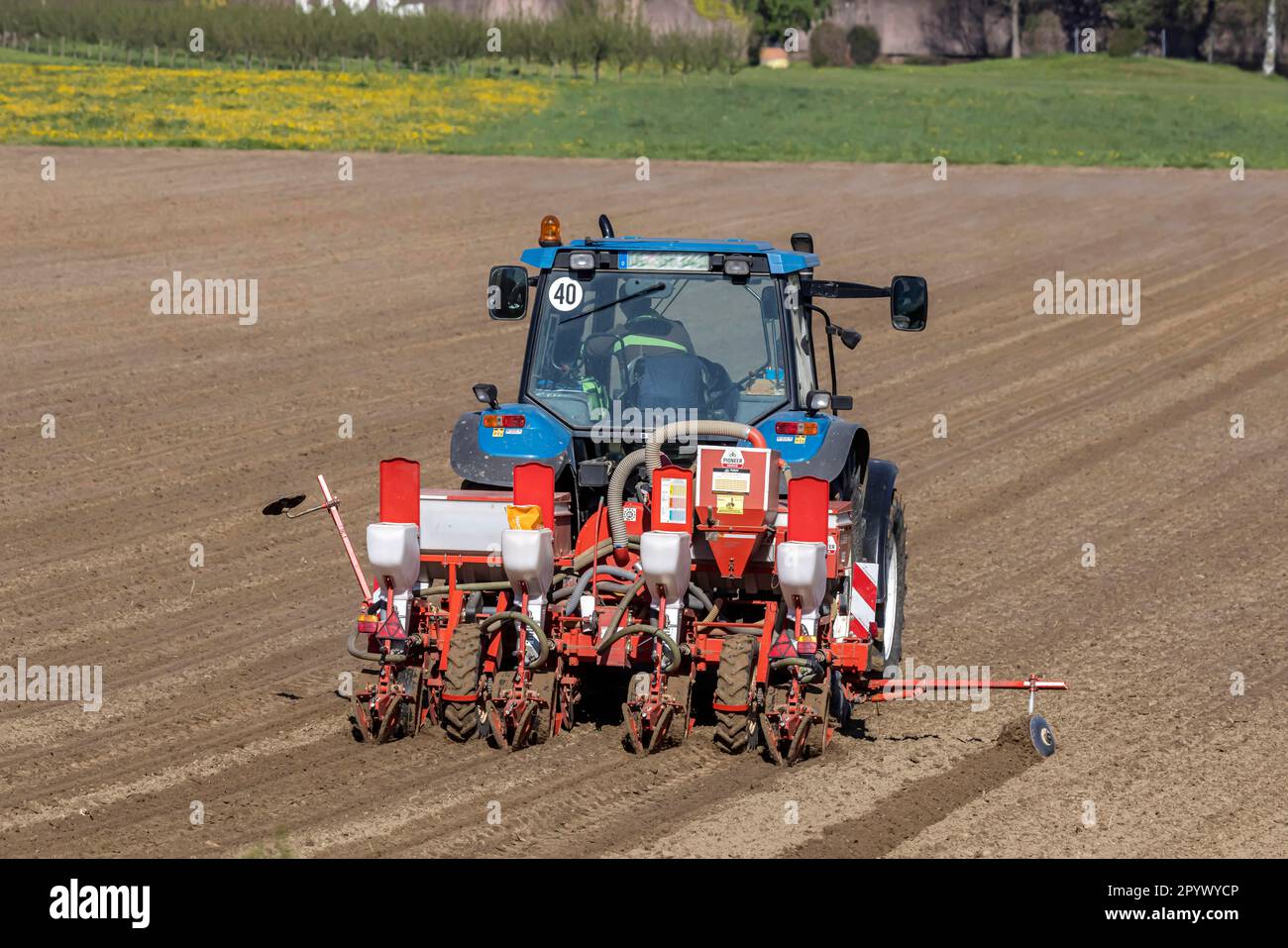 Sowing maize, farmer sowing an empty field with his tractor, Sasbach ...