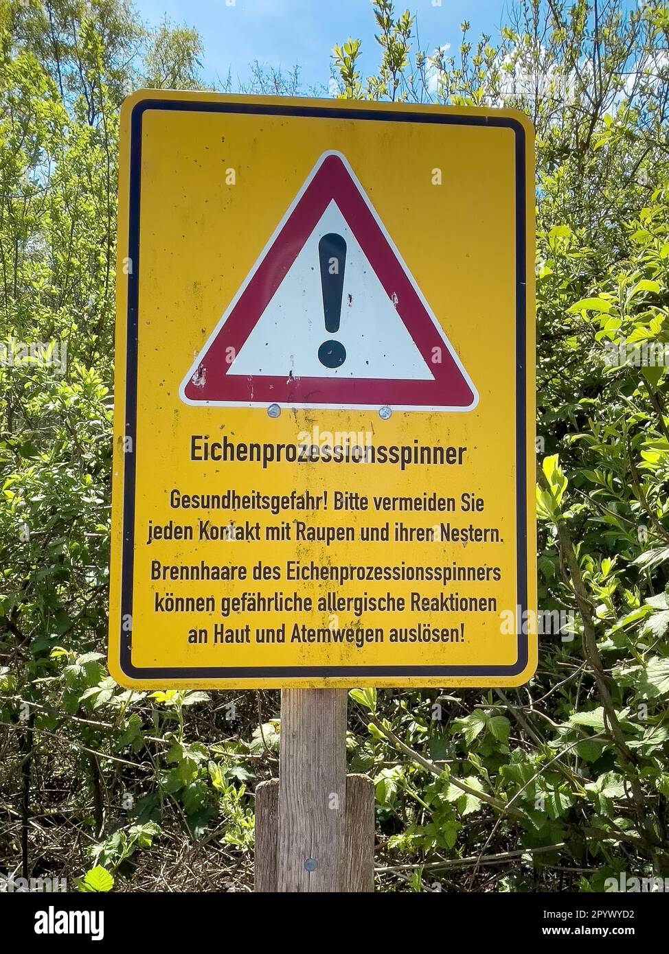 Warning sign warning of dangerous caterpillar species caterpillar oak ...