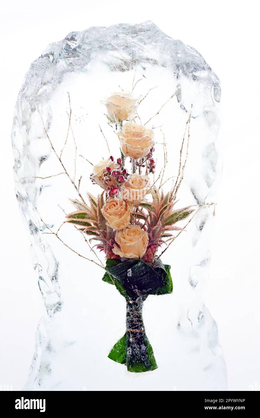 Frozen roses bouquet inside the ice block Stock Photo - Alamy