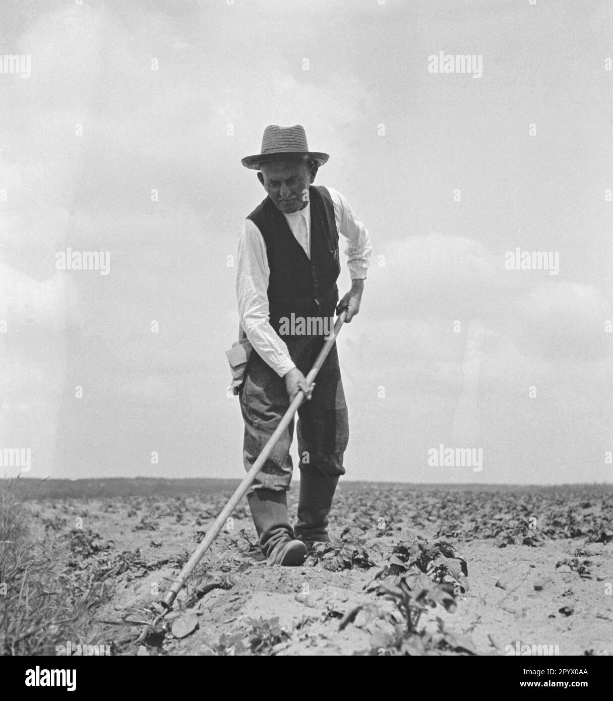 Old man hoe field Black and White Stock Photos & Images - Alamy