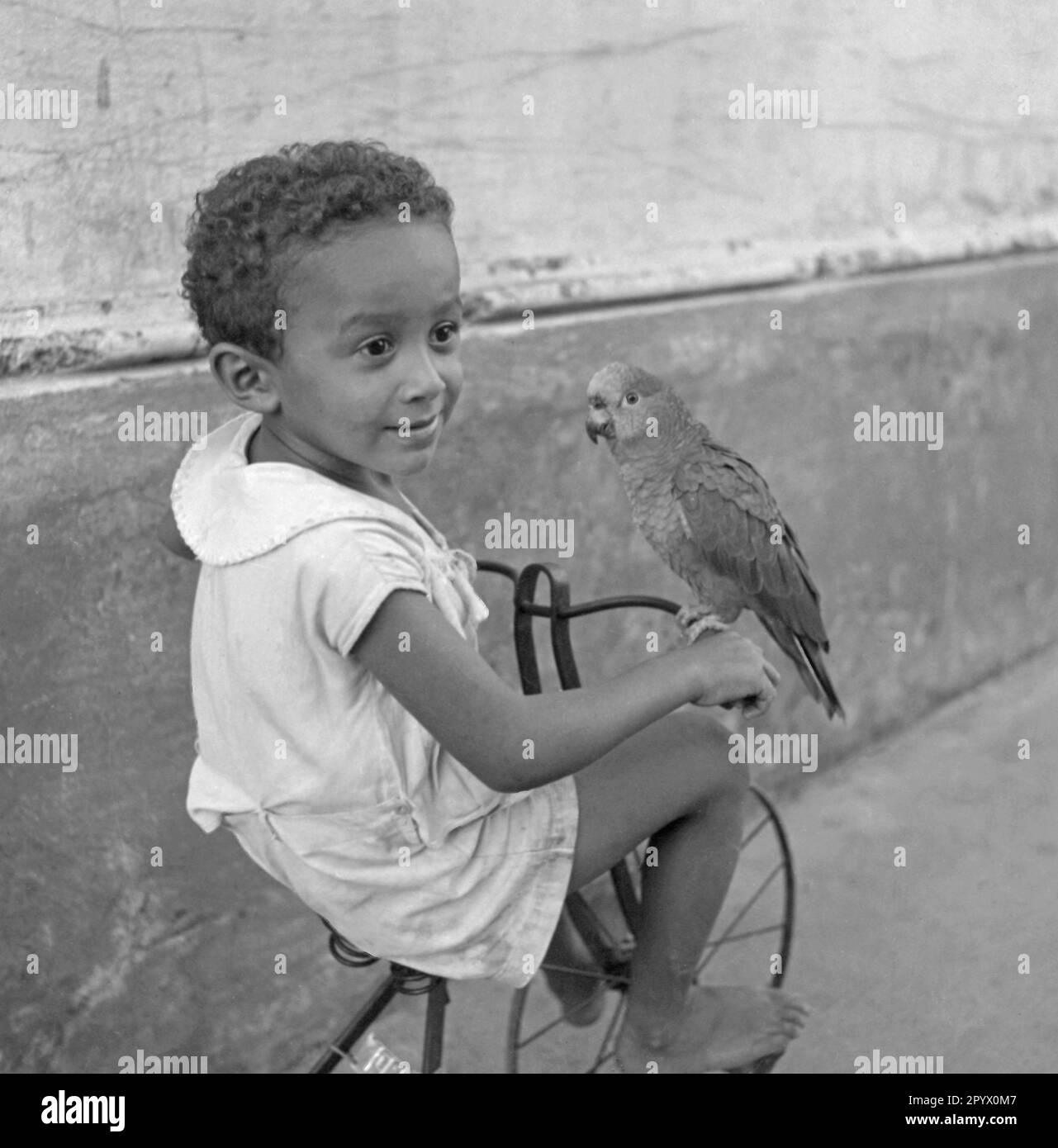 A Brazilian boy is riding his bicycle in the streets of Rio with his ...