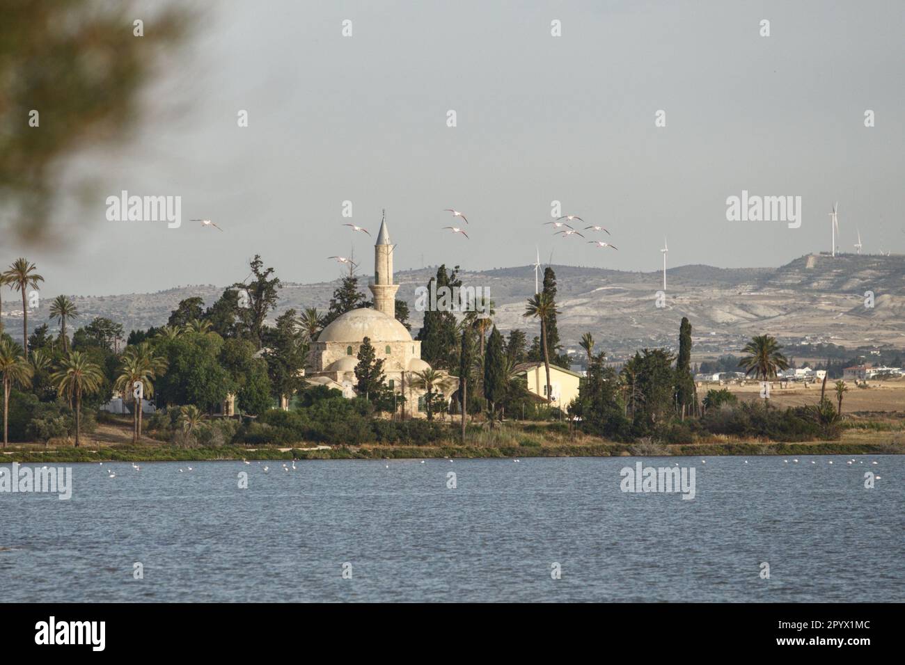 Larnaca, Larnaca, Cyprus. 5th May, 2023. A flock of flamingos is seen ...