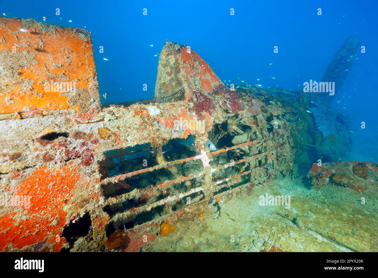 Cockpit Nakajima Ki-43 Hayabusa, Japanese aircraft wreck, wreckage ...