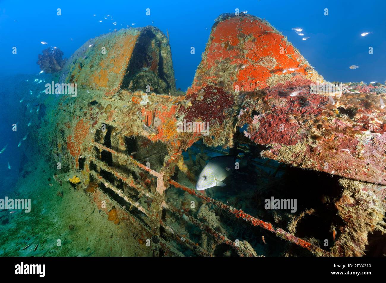 Cockpit Nakajima Ki-43 Hayabusa, Japanese aircraft wreck, wreckage ...