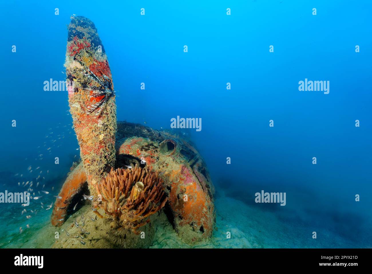 Nakajima Ki-43 Hayabusa, Japanese aircraft wreck, wreckage, aircraft ...