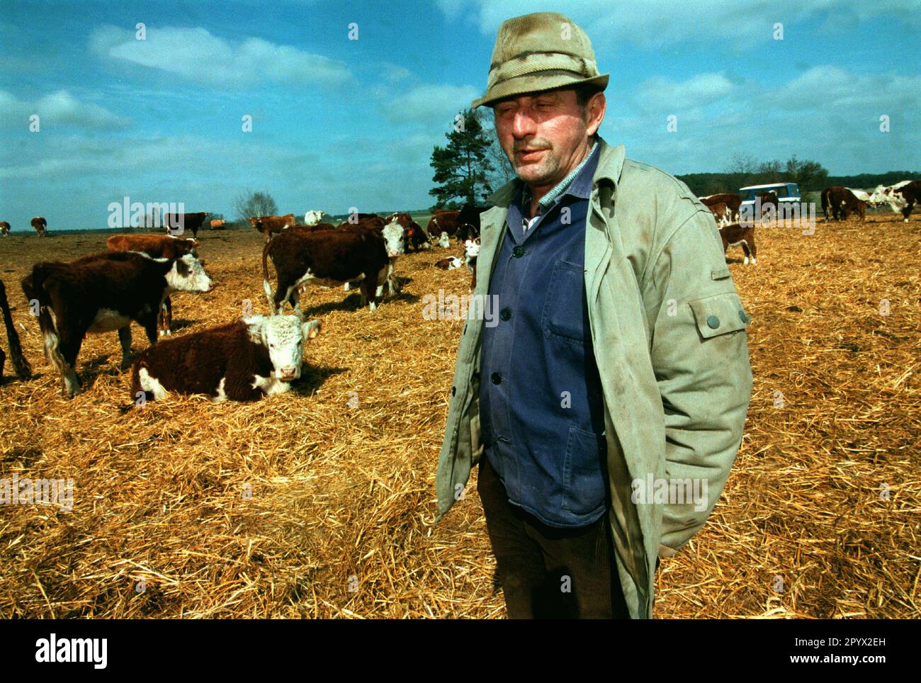 Lindstaedt hi-res stock photography and images - Alamy