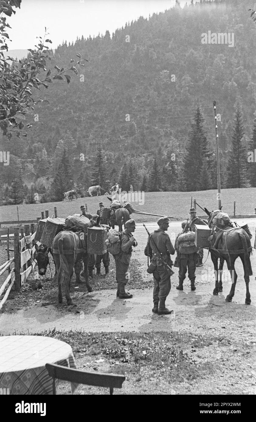 During an exercise of a Gebirgsjaegerkompanie (mountain infantry ...