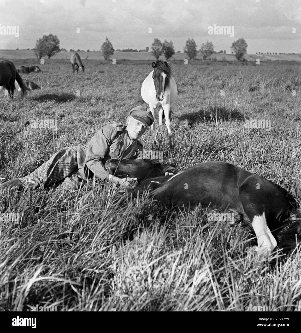 Broock castle hi-res stock photography and images - Alamy