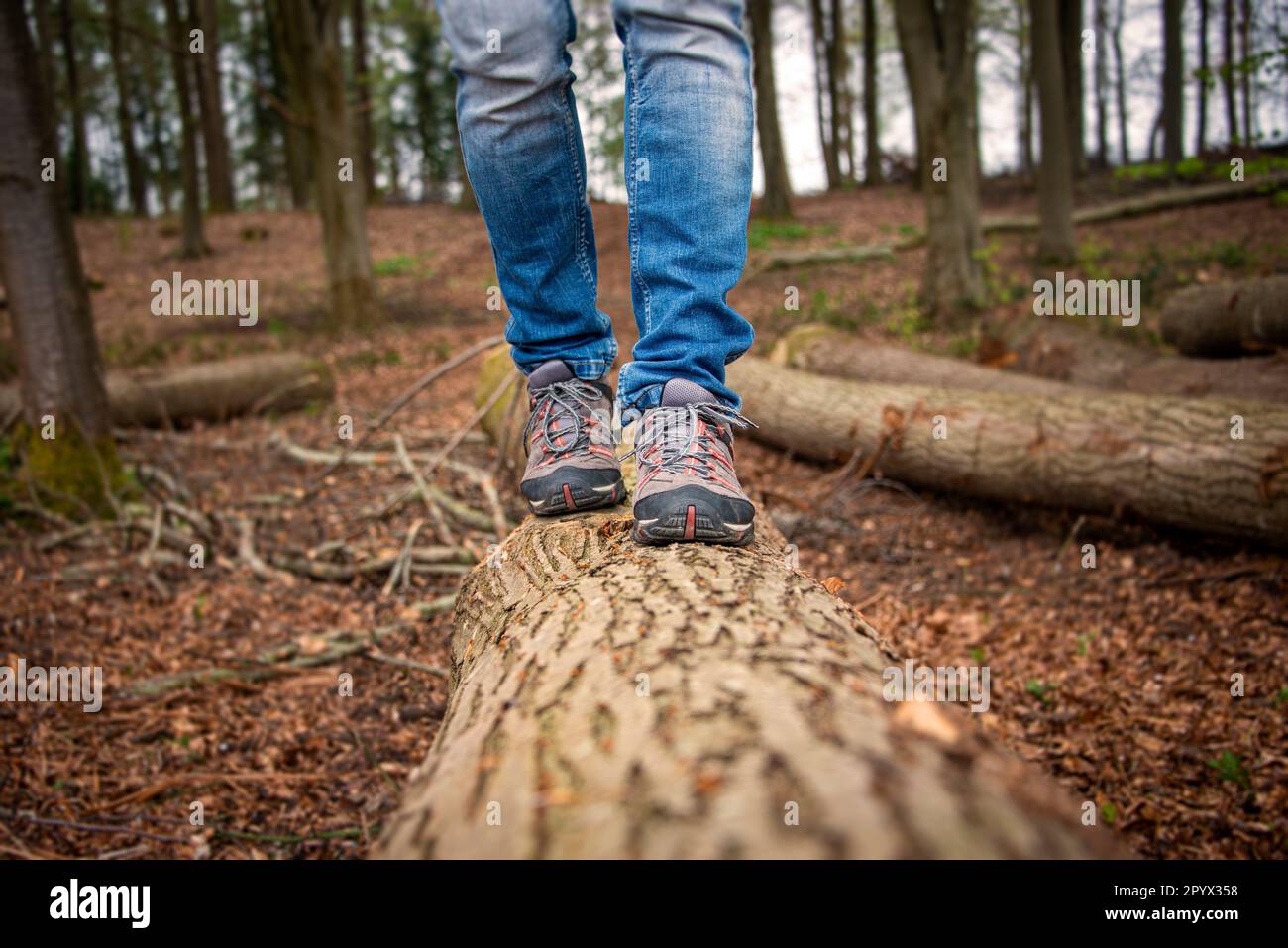 Walking a log hi-res stock photography and images - Alamy