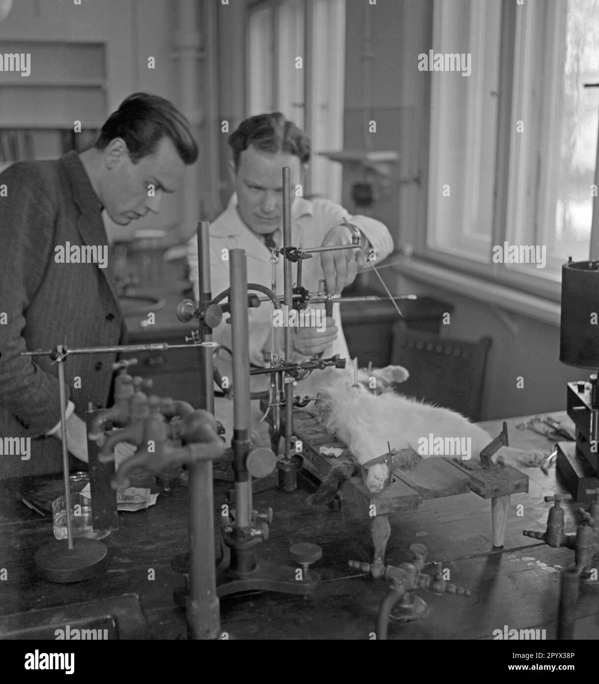 Two biologists perform an experiment on a dead cat with a device in the ...