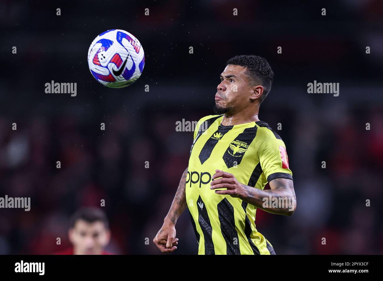 Yan Sasse of the Phoenix during the A-League Men's Elimination Final ...