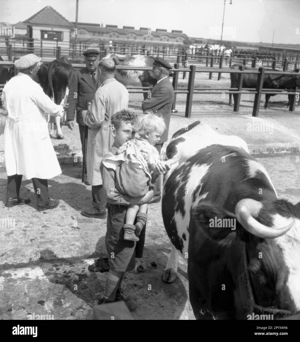 Schledwig holstein hi-res stock photography and images - Alamy