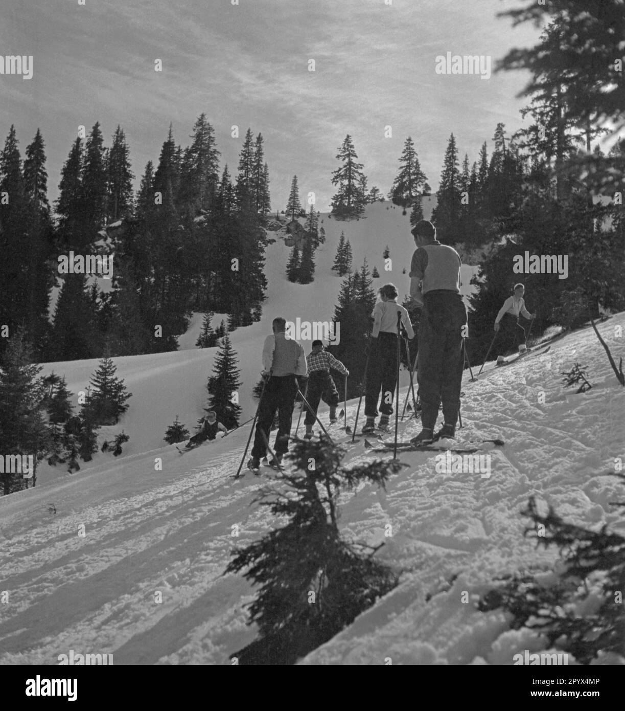 "View of several skiers on a high alpine pasture at a recreation center ...