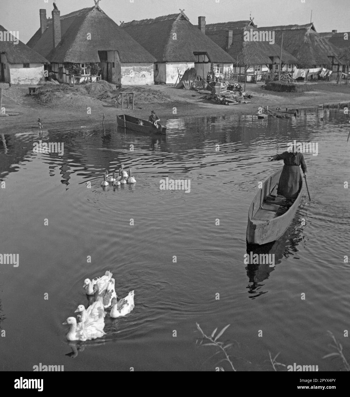 Fisherman on the Kamper lake or the Rega near the Baltic coast in ...