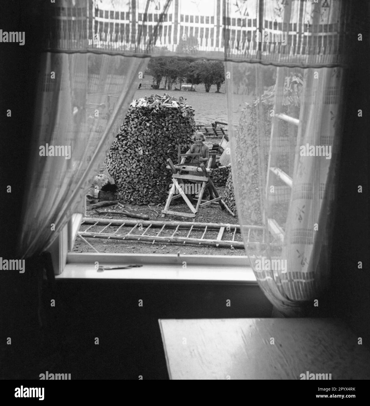 A girl saws wood on a farm near Neustrelitz (Koppelhof). Next to her ...