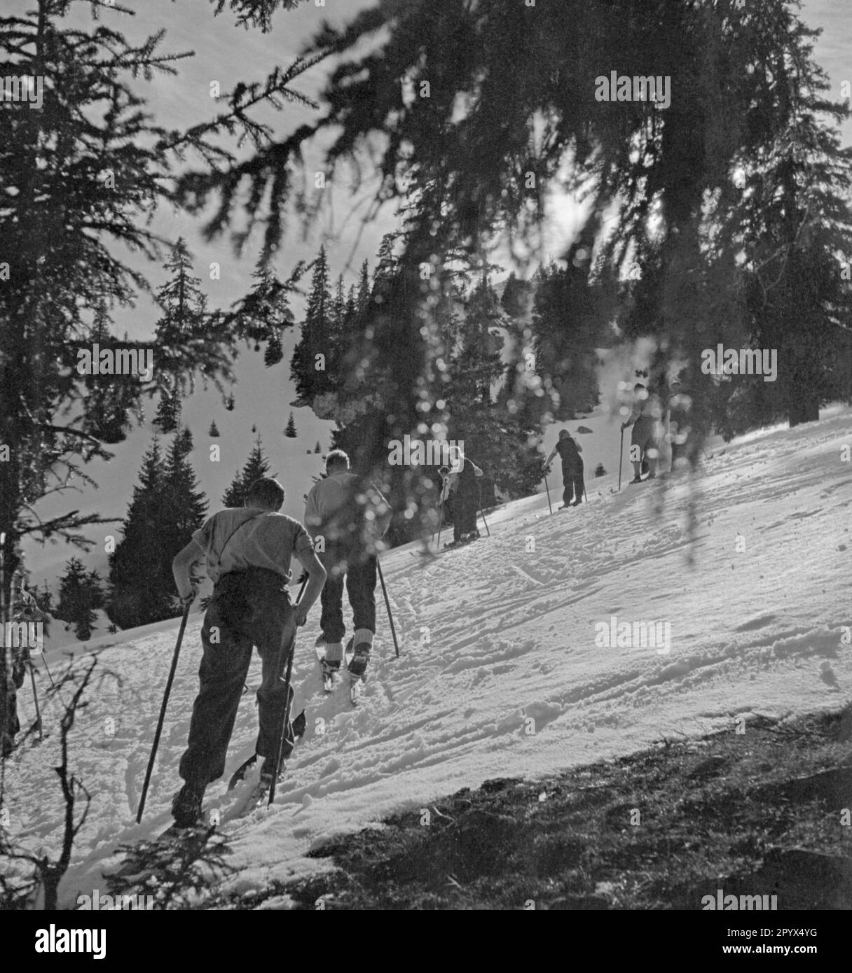 "View of a group of skiers ascending a high alpine pasture in a ...