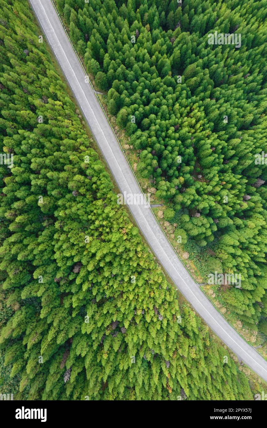 Aerial view of curved asphalt road on the mountain Stock Photo - Alamy