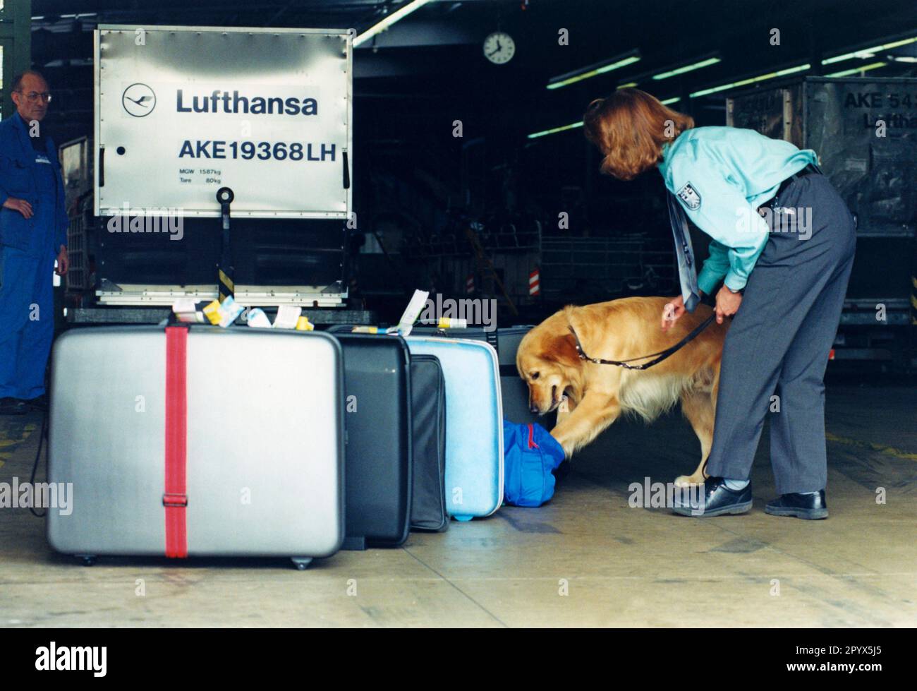 Customs examinations on airports Stock Photo - Alamy