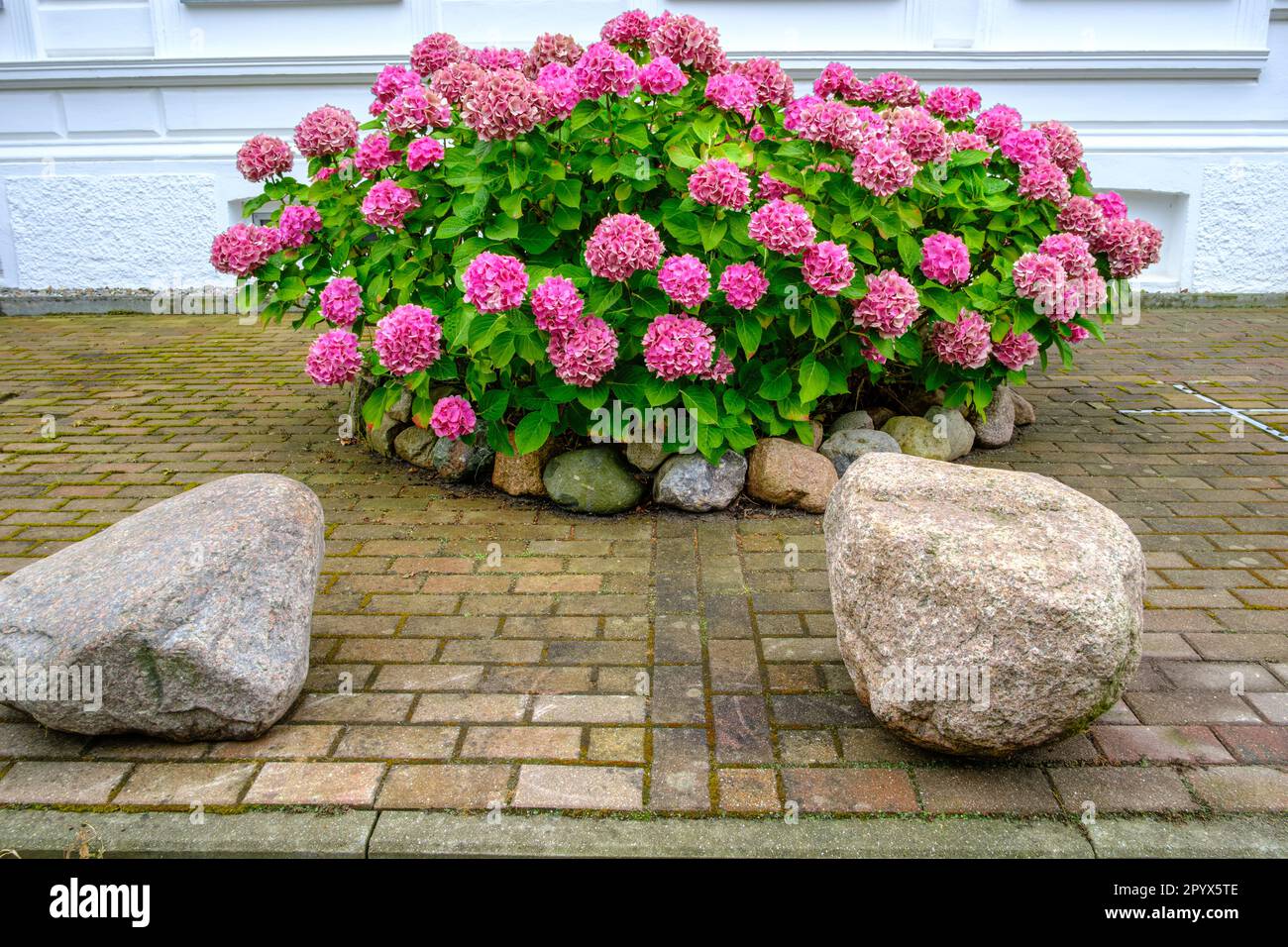 Creative yard decoration hi-res stock photography and images - Alamy