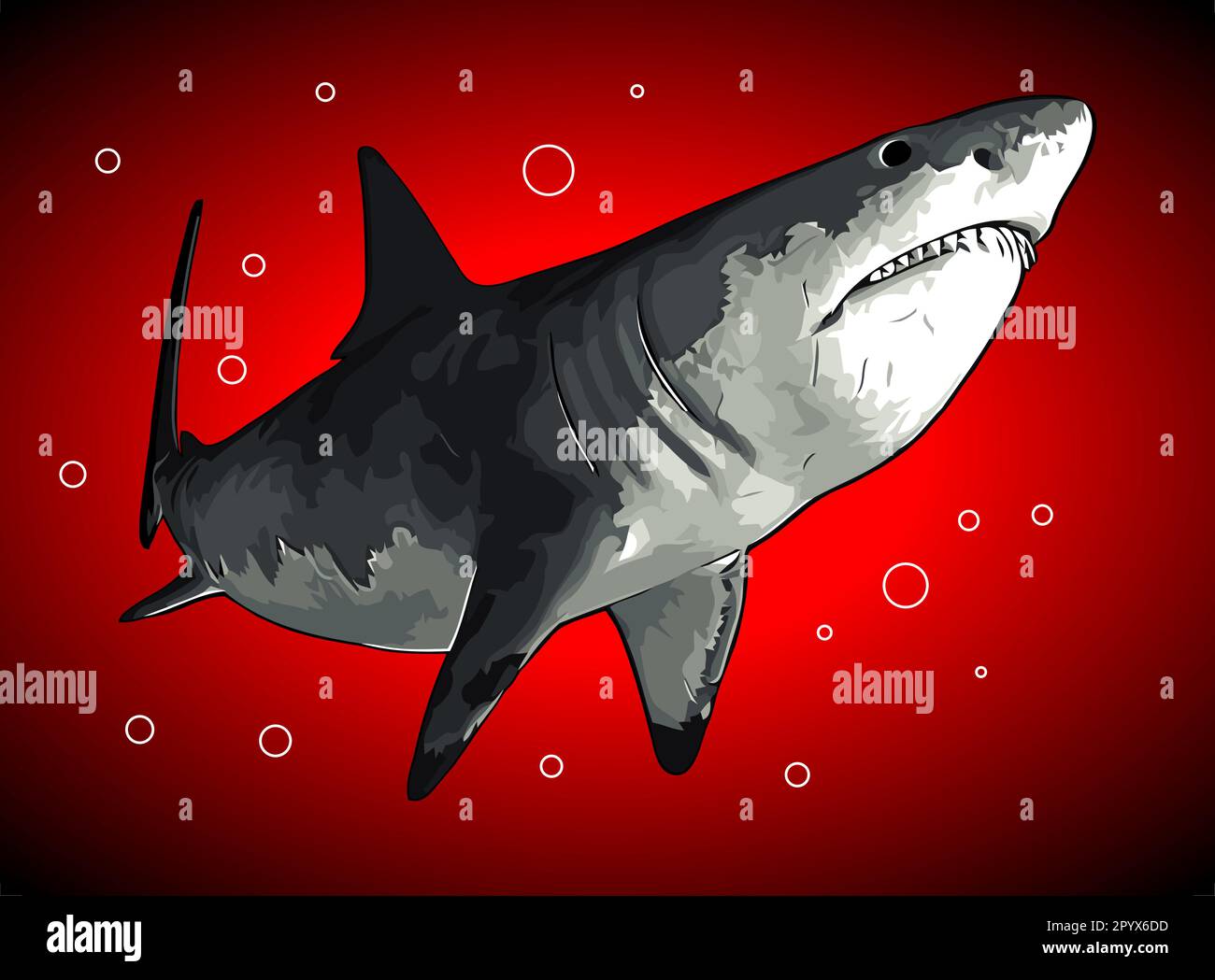 Vector shark emblem hi-res stock photography and images - Alamy