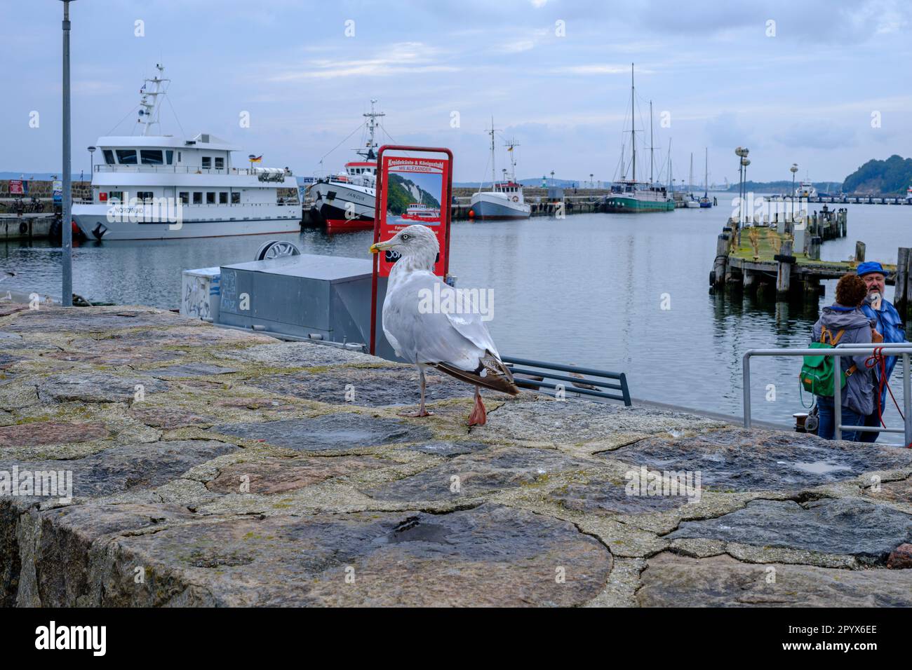 Maritime scene in the town harbour of Sassnitz, Mecklenburg-Western ...