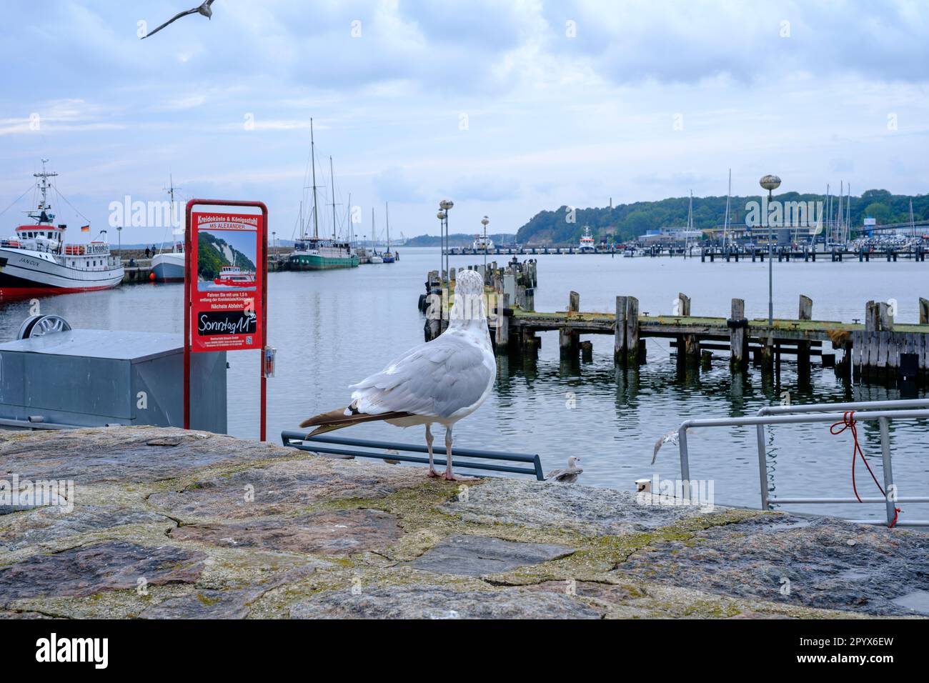 Maritime scene in the town harbour of Sassnitz, Mecklenburg-Western ...