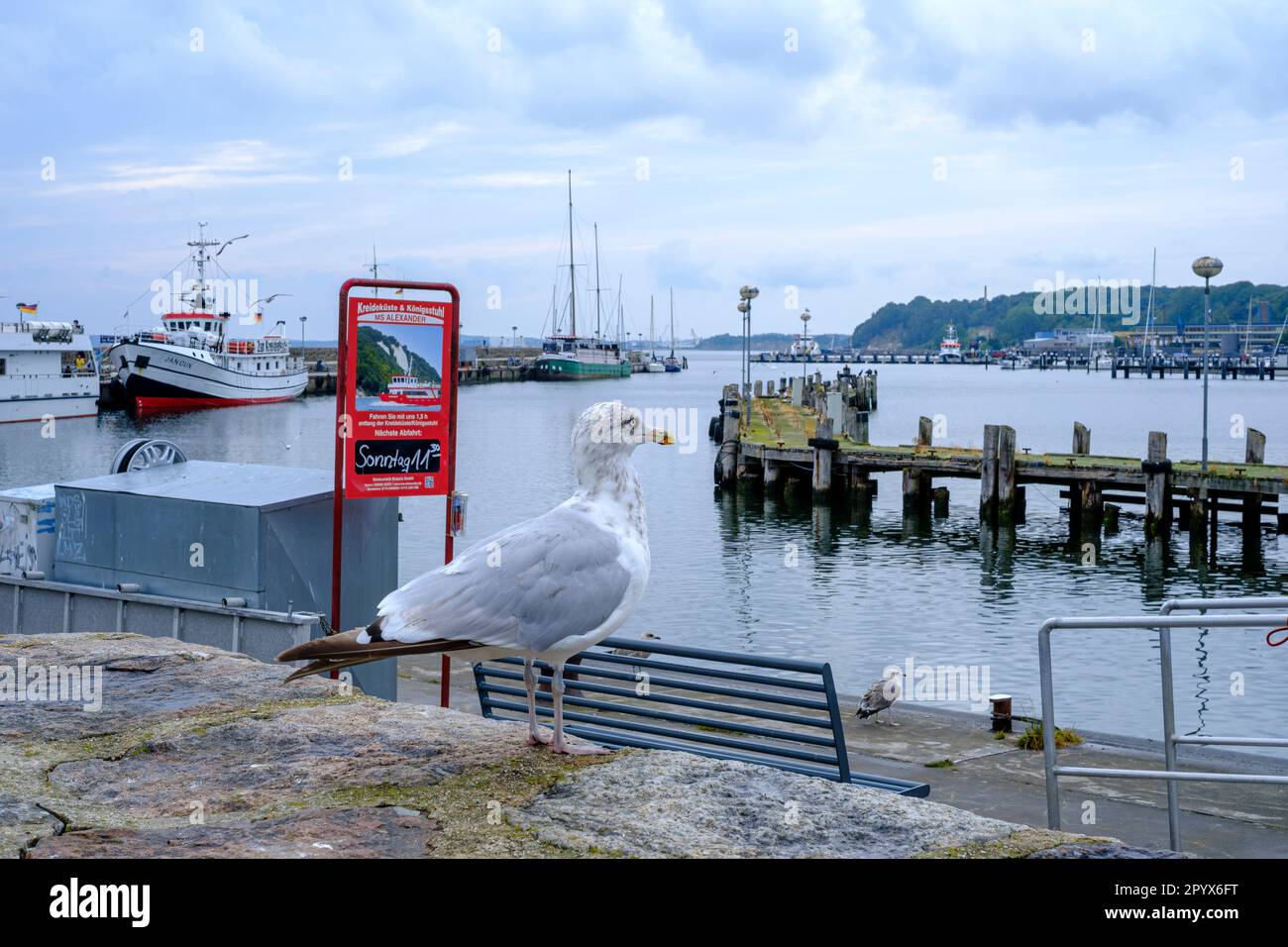 Maritime scene in the town harbour of Sassnitz, Mecklenburg-Western ...