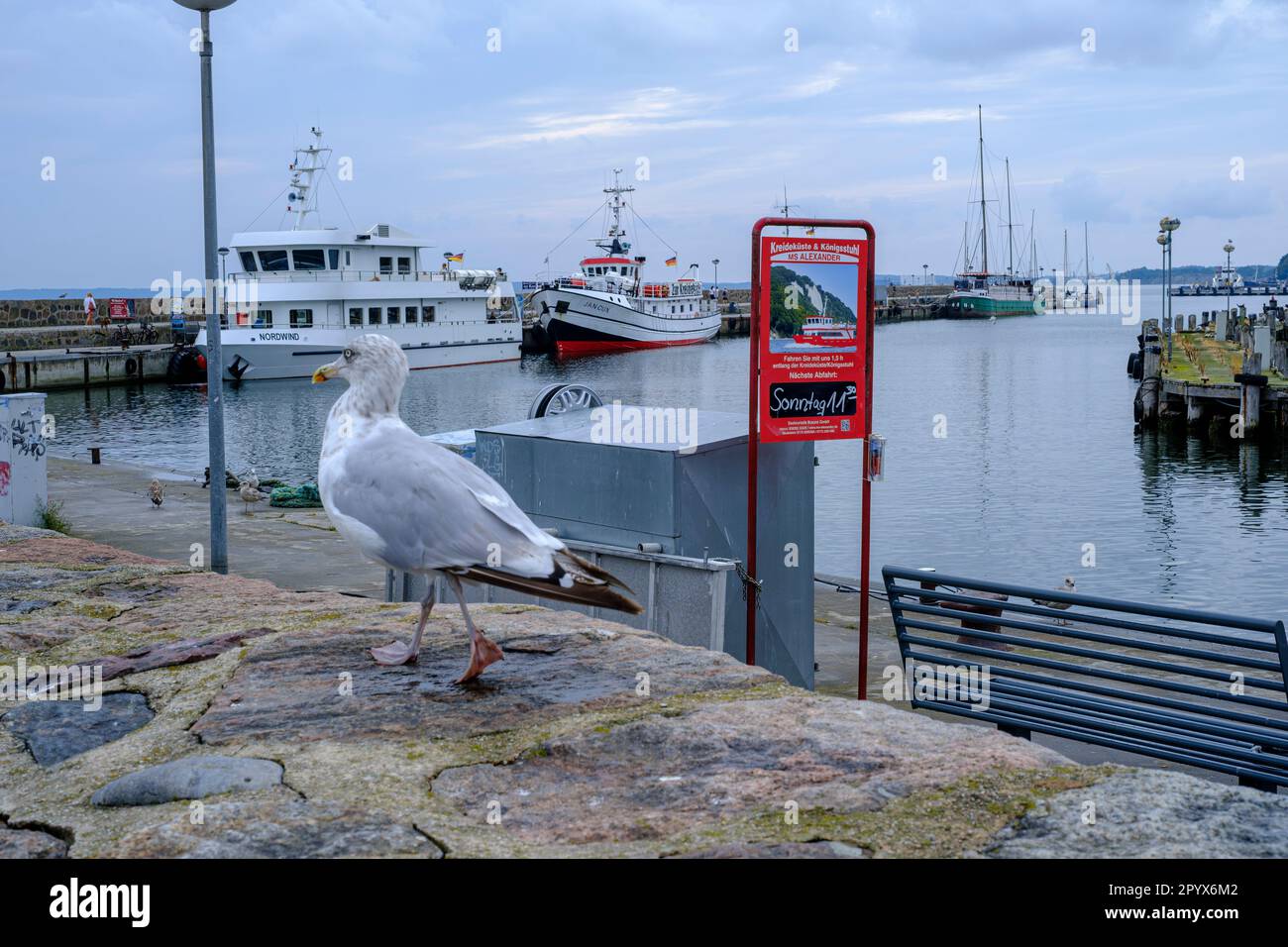 Maritime scene in the town harbour of Sassnitz, Mecklenburg-Western ...