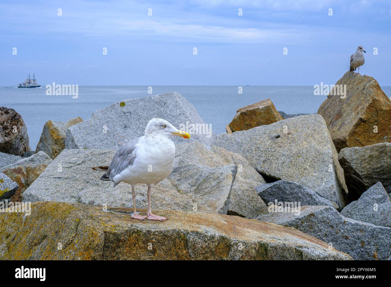 Maritime scene in the town harbour of Sassnitz, Mecklenburg-Western ...