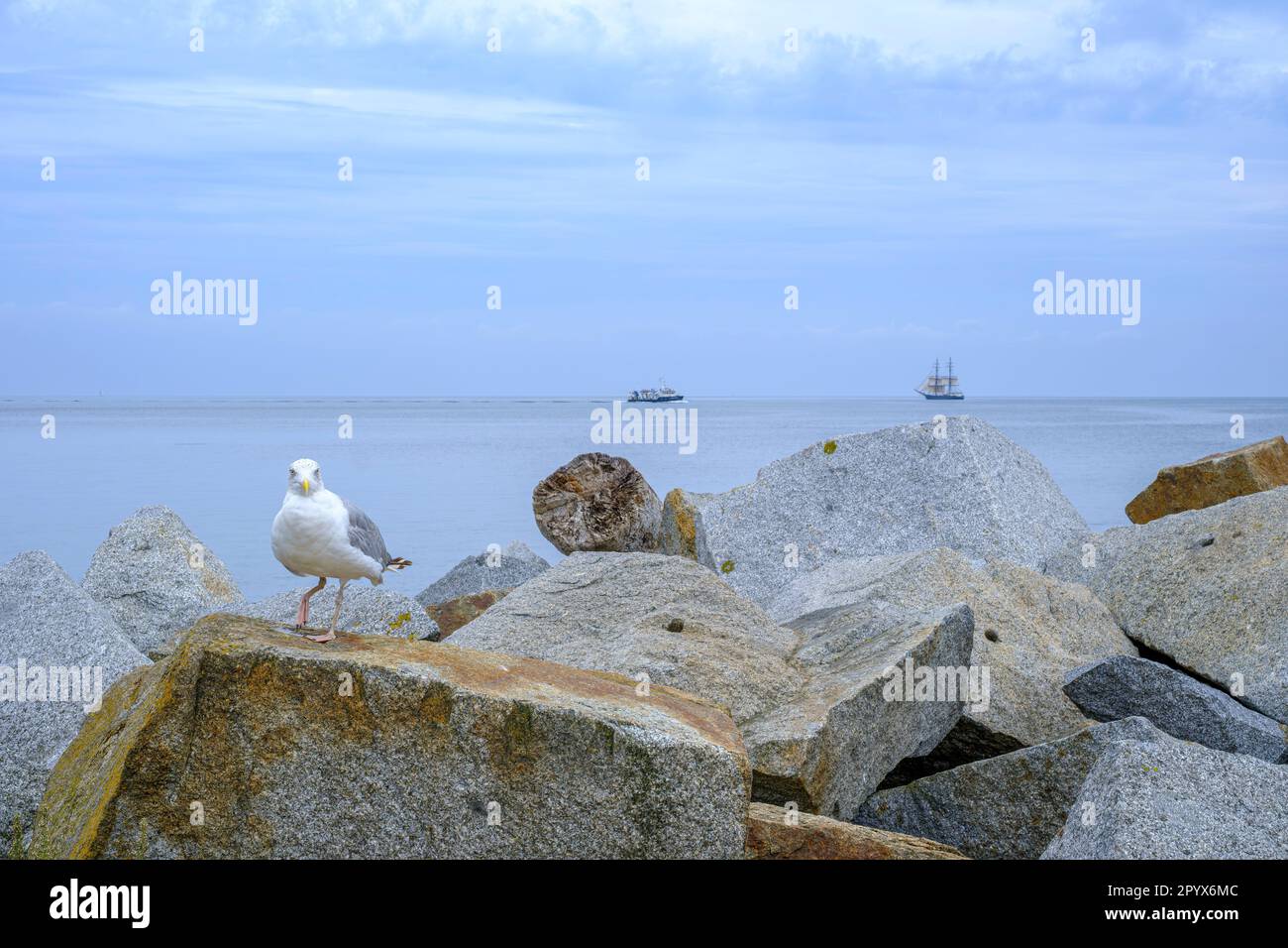 Maritime scene in the town harbour of Sassnitz, Mecklenburg-Western ...