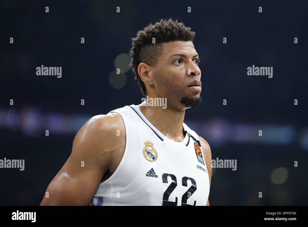 2022 in tavares hi-res stock photography and images - Alamy