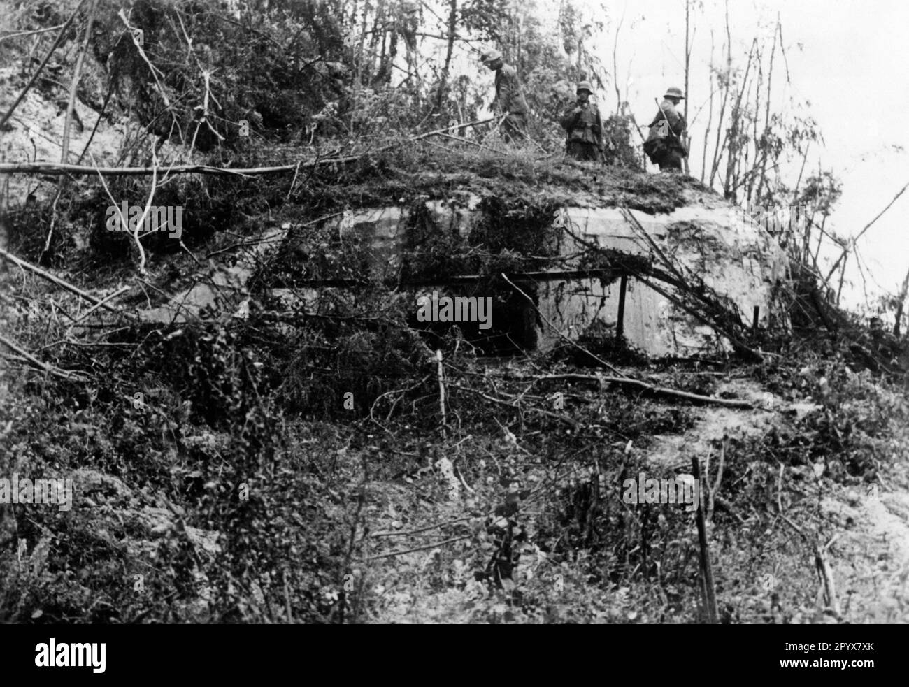 World War II, Eastern Front: Fighting along the Stalin Line [automated ...