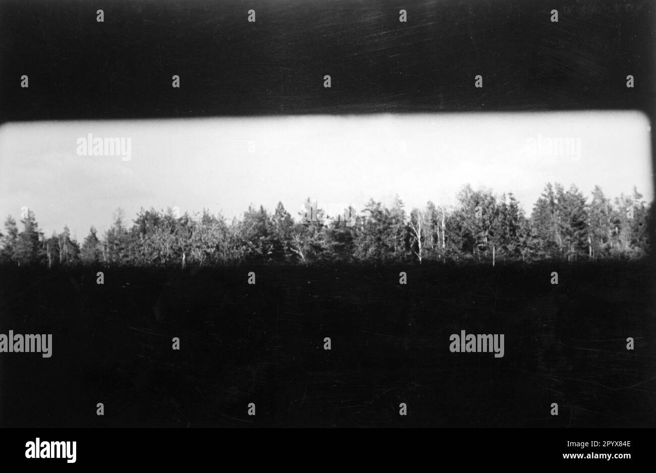 Photo russian tank hi-res stock photography and images - Alamy