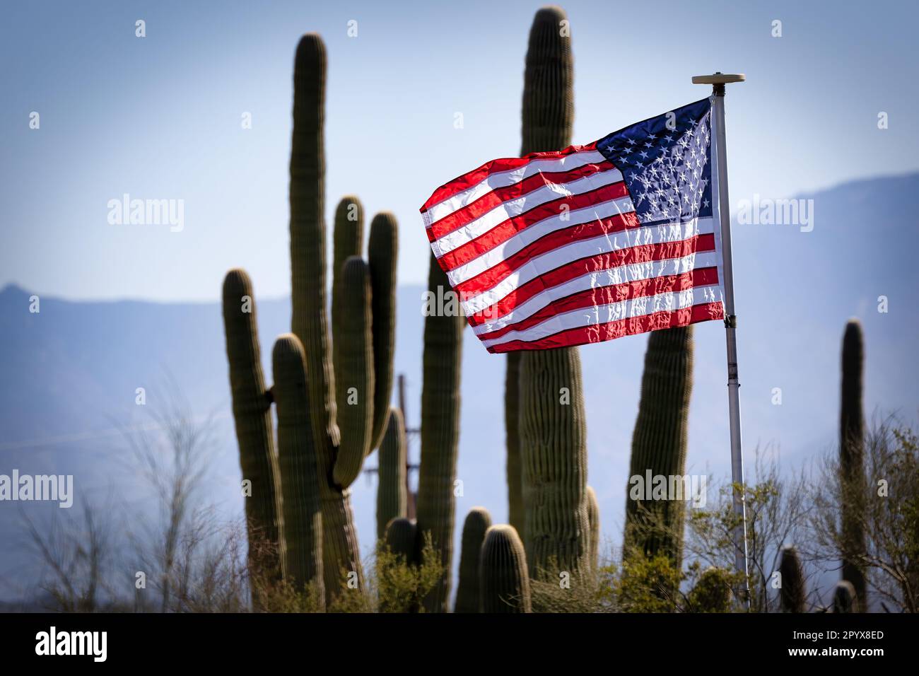 An American flag flies on a spring morning near the west district of ...