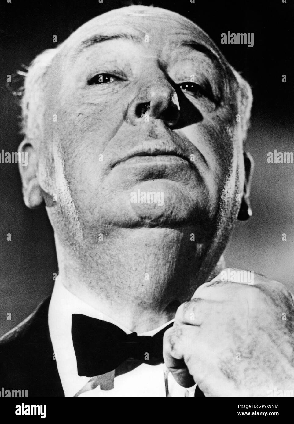 Alfred Hitchcock, film director, Great Britain, Portraits Stock Photo ...