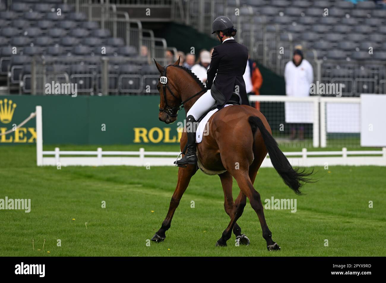 Carthago stallion hi-res stock photography and images - Alamy