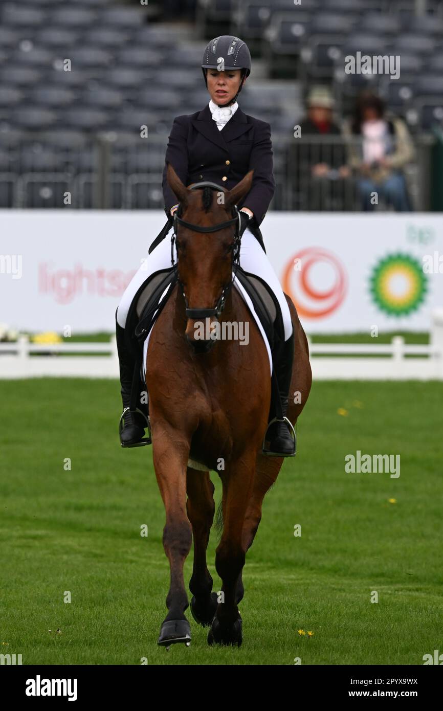 Carthago stallion hi-res stock photography and images - Alamy