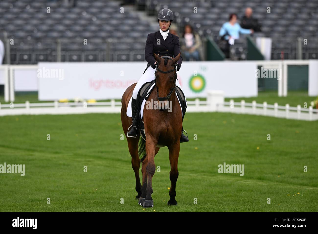 Carthago stallion hi-res stock photography and images - Alamy