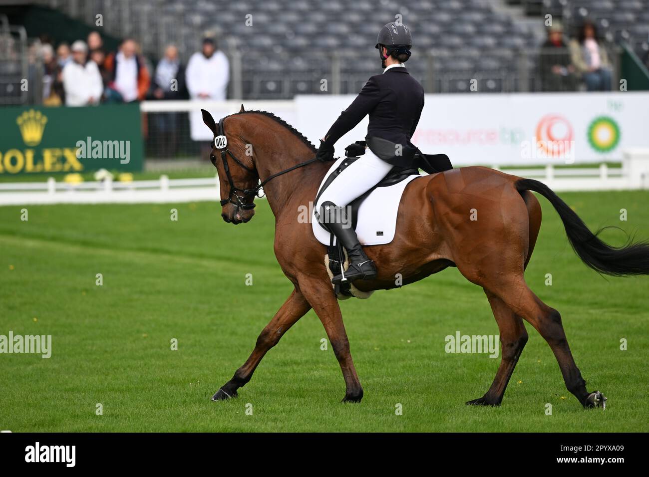 Carthago stallion hi-res stock photography and images - Alamy