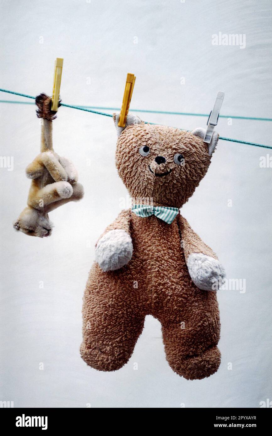 Stuffed animals hang hi-res stock photography and images - Alamy