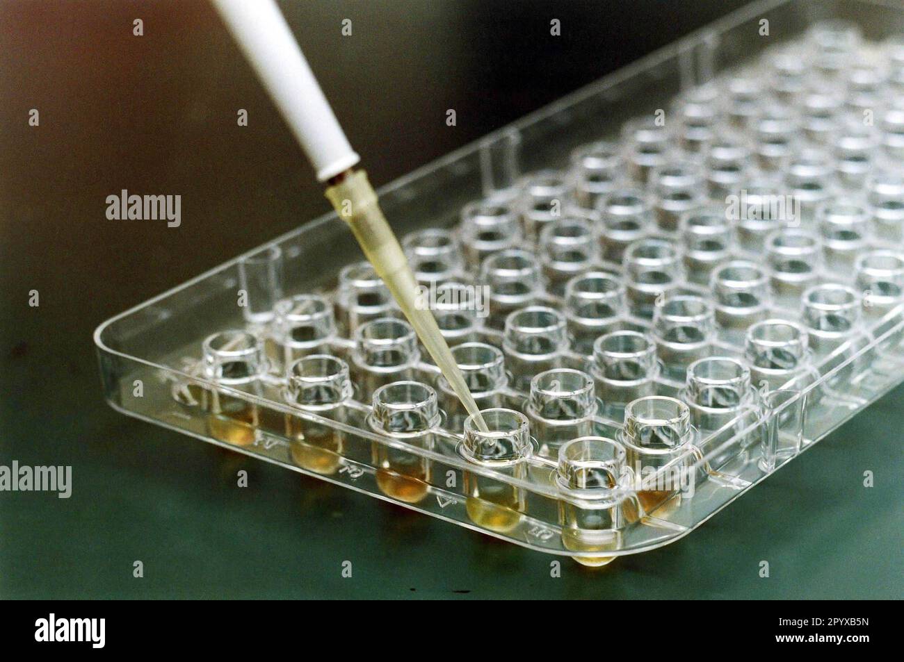 Microtiter plate hi-res stock photography and images - Alamy