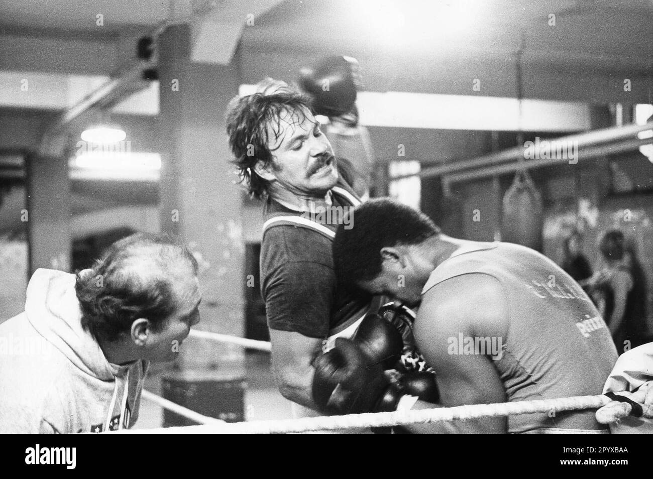 "Schimanski (Götz George, center) and W. Seebacher in the crime scene ...